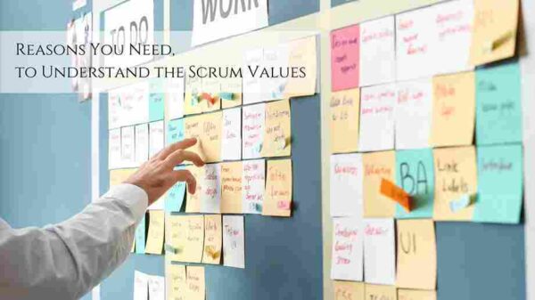 Scrum Values: 5 Key Ways To Lead With Impact
